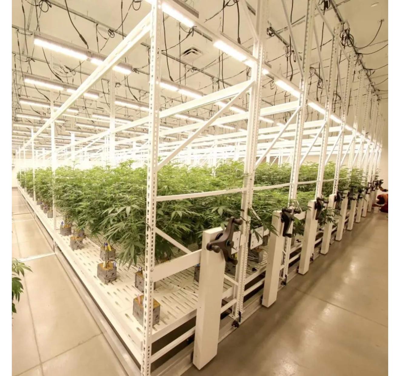 Home - Furniture - Garden Our Mobile Vertical Grow Rack System is the ...